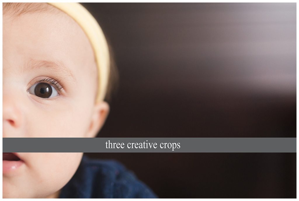 Three Creative Crops | A Club Click Course - Kelsi Bailey Photography